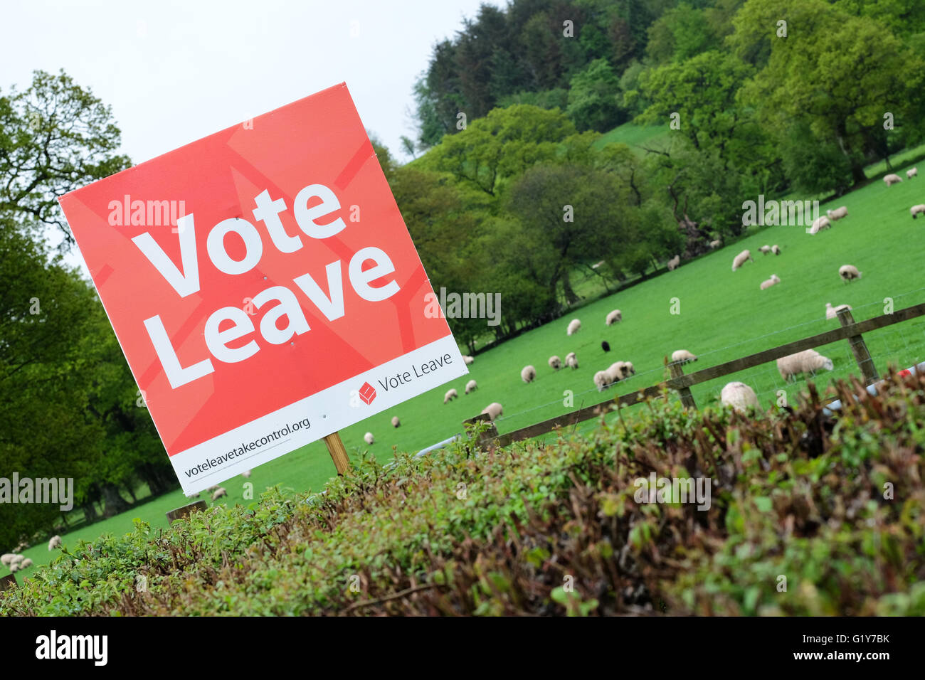 Vote leave poster hi-res stock photography and images - Alamy