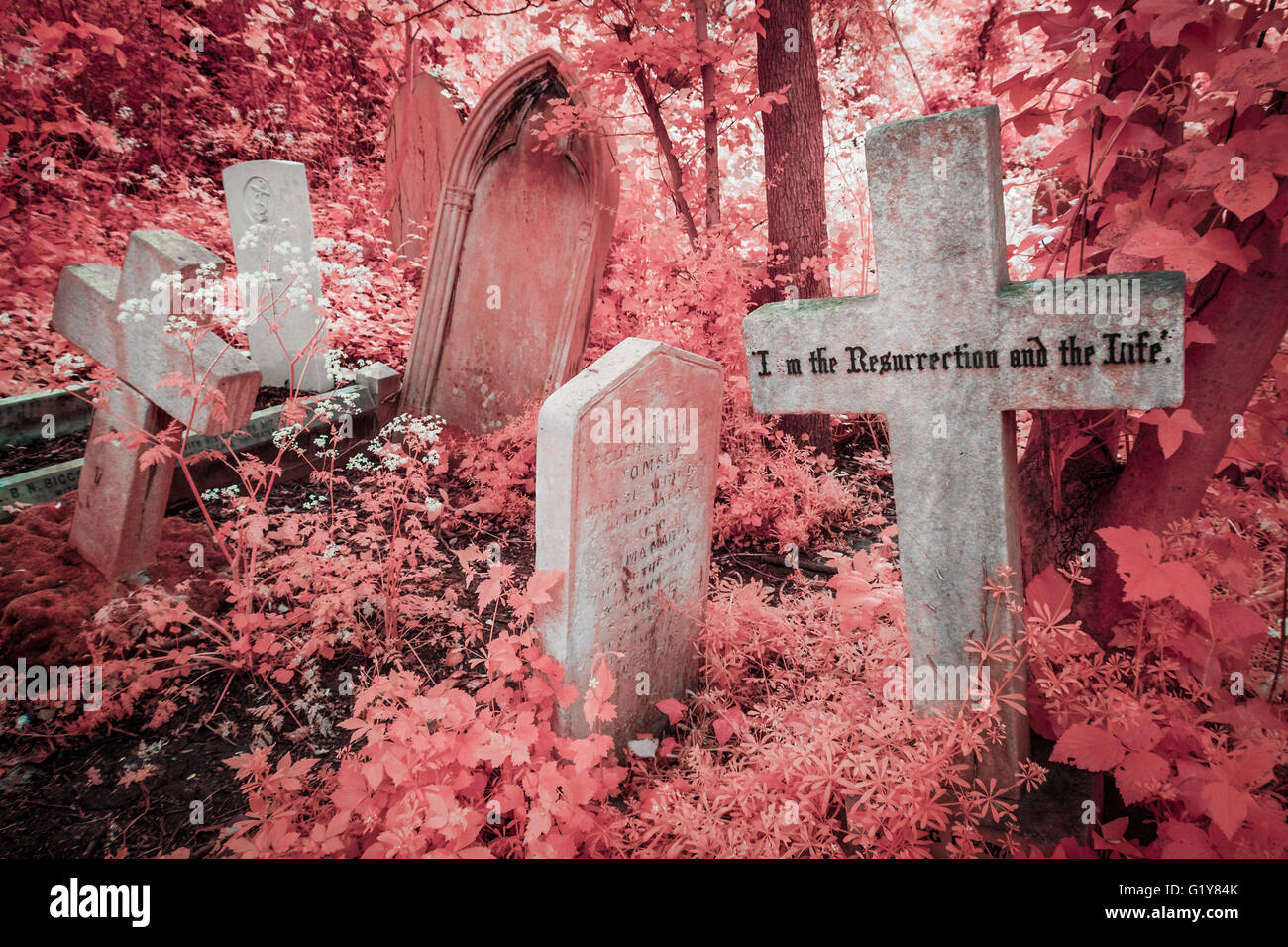 London, UK. 21st May, 2016. Nunhead Cemetery Annual Open Day ...