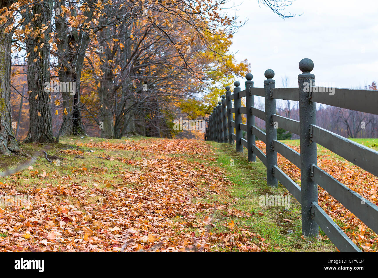 Fence with Trees in fall Stock Photo - Alamy