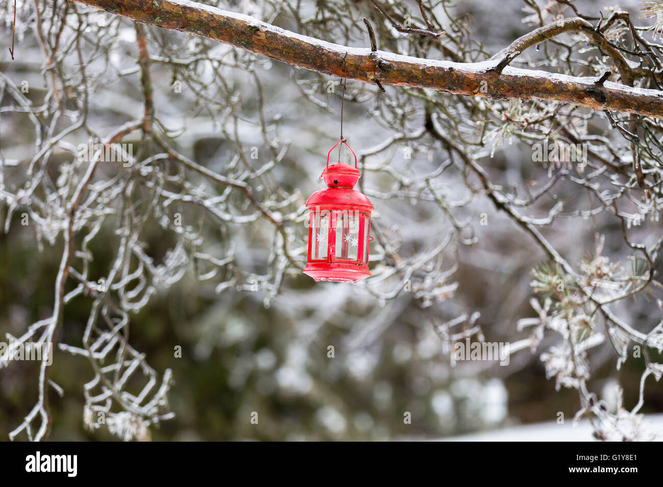 Xmax tree hi-res stock photography and images - Alamy