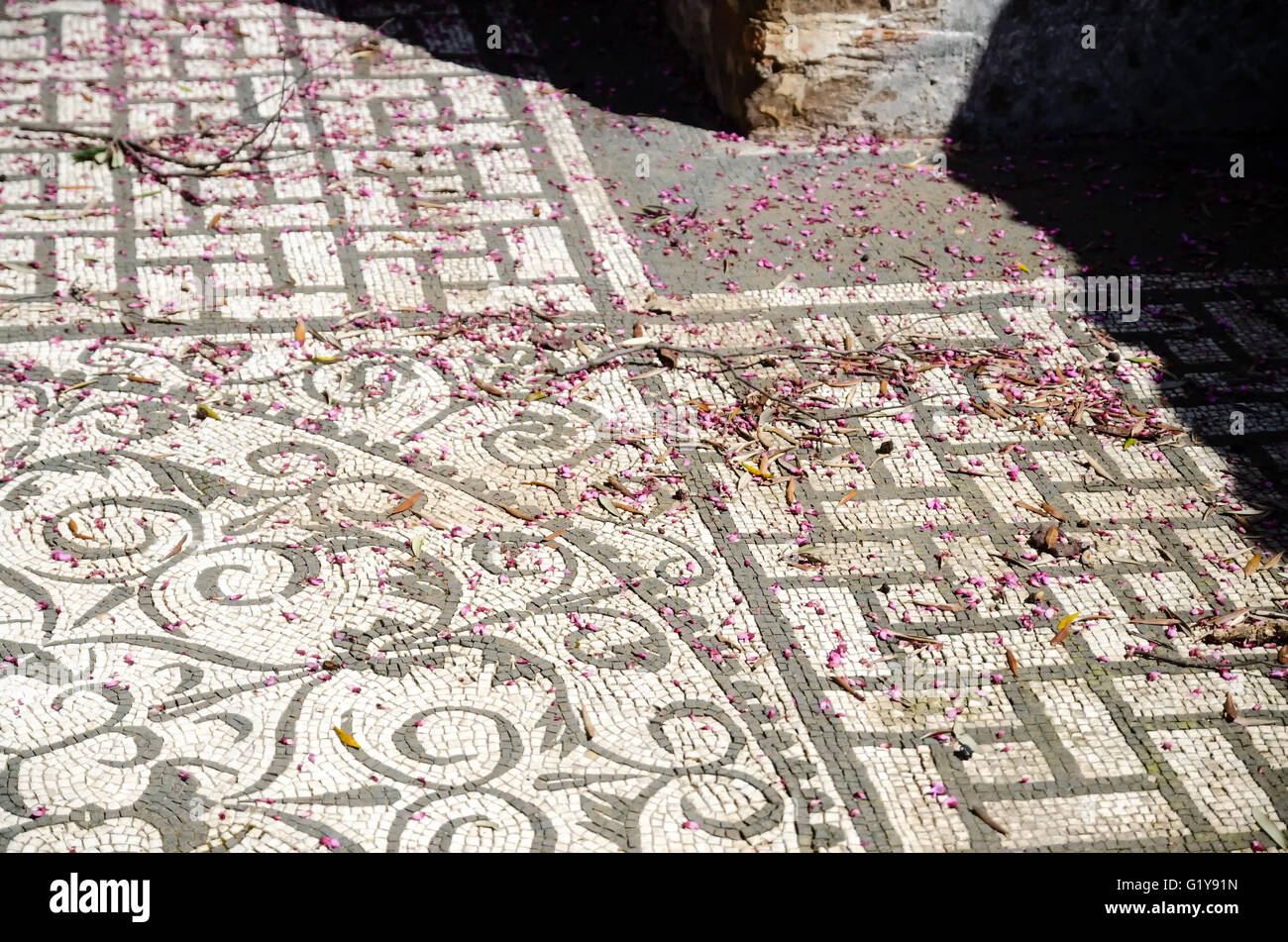 Purple flower on ancient floor mosaic in Ostia Antica's old ...