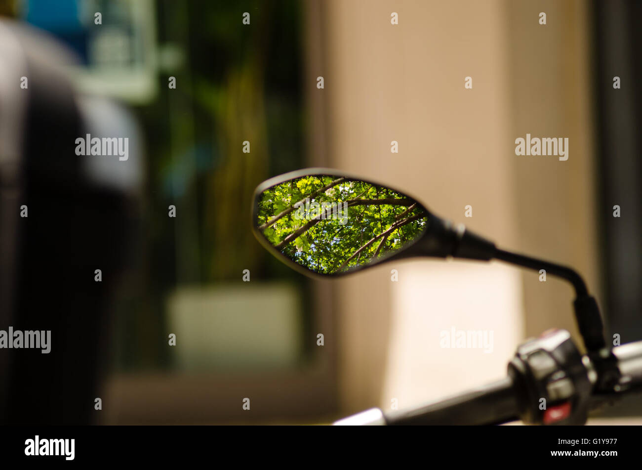 Green trees reflected in moto mirror Stock Photo - Alamy