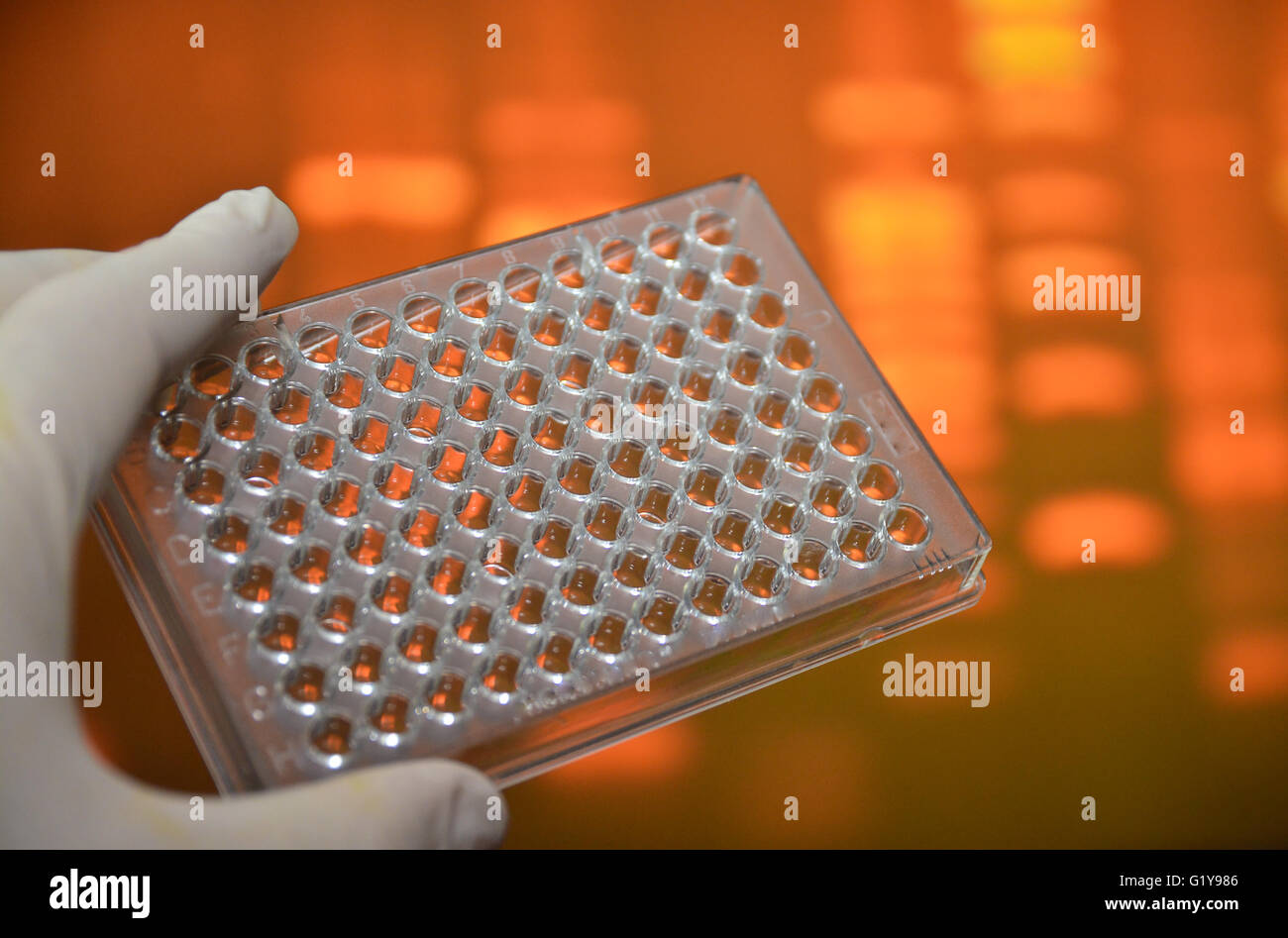 DNA testing in genetic laboratories. Biological scientific equipment ...