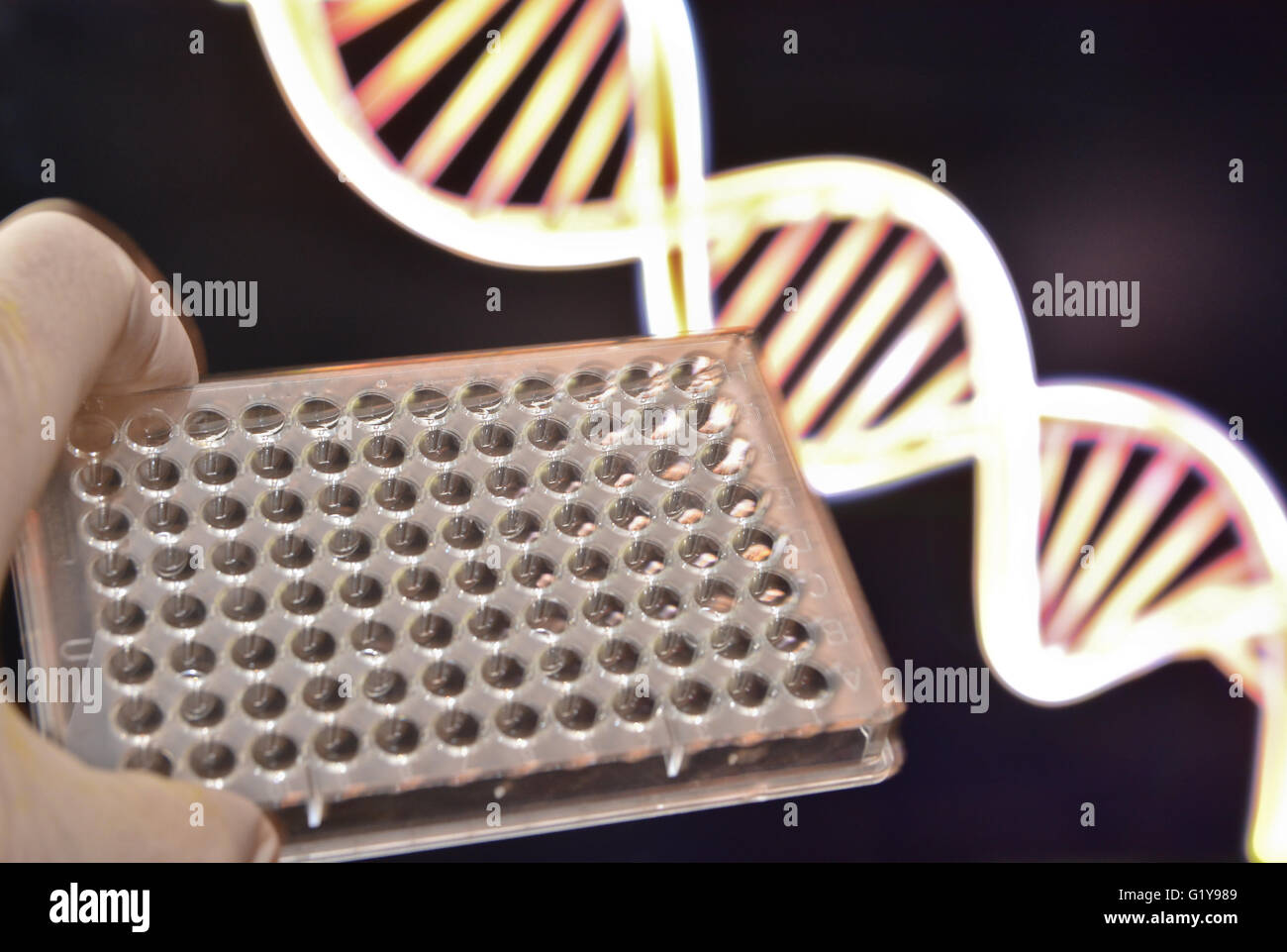 DNA testing in genetic laboratories. Biological scientific equipment ...