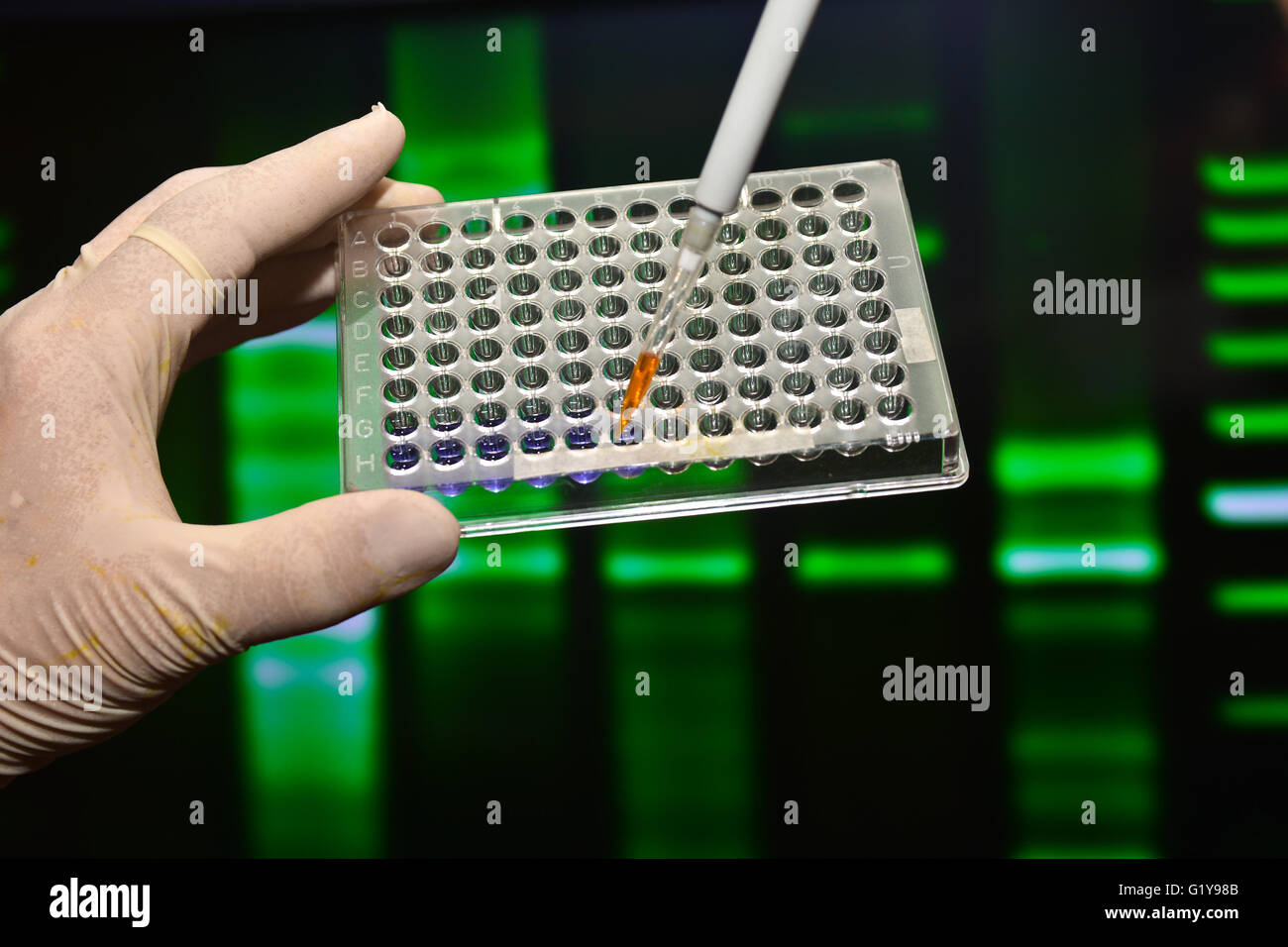 Dna testing hi-res stock photography and images - Alamy