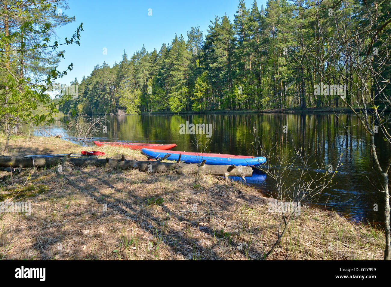 Boats on the forest river. Spring landscape, water tourism in the ...