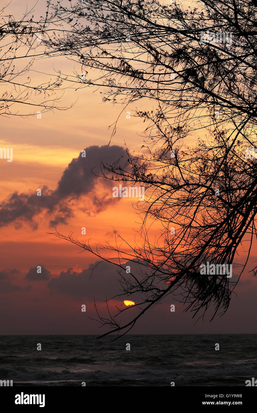 Good Morning Beach Sunrise Good Morning Beach Stock Illustrations