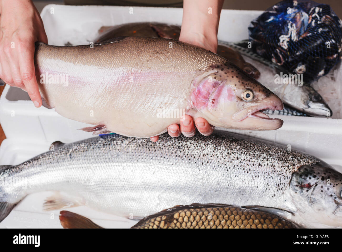 A young woman is in her kitchen with a box of fish and is holding a ...