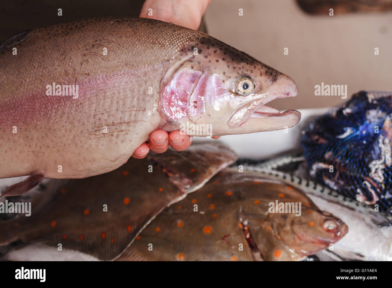A young woman is in her kitchen with a box of fish and is holding a ...