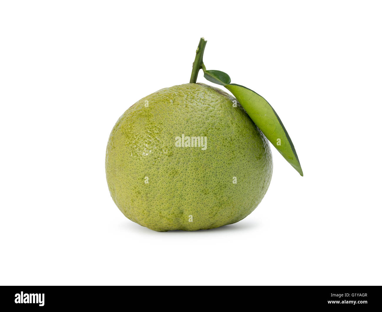 Pomelo citrus fruit isolated on white background Stock Photo - Alamy