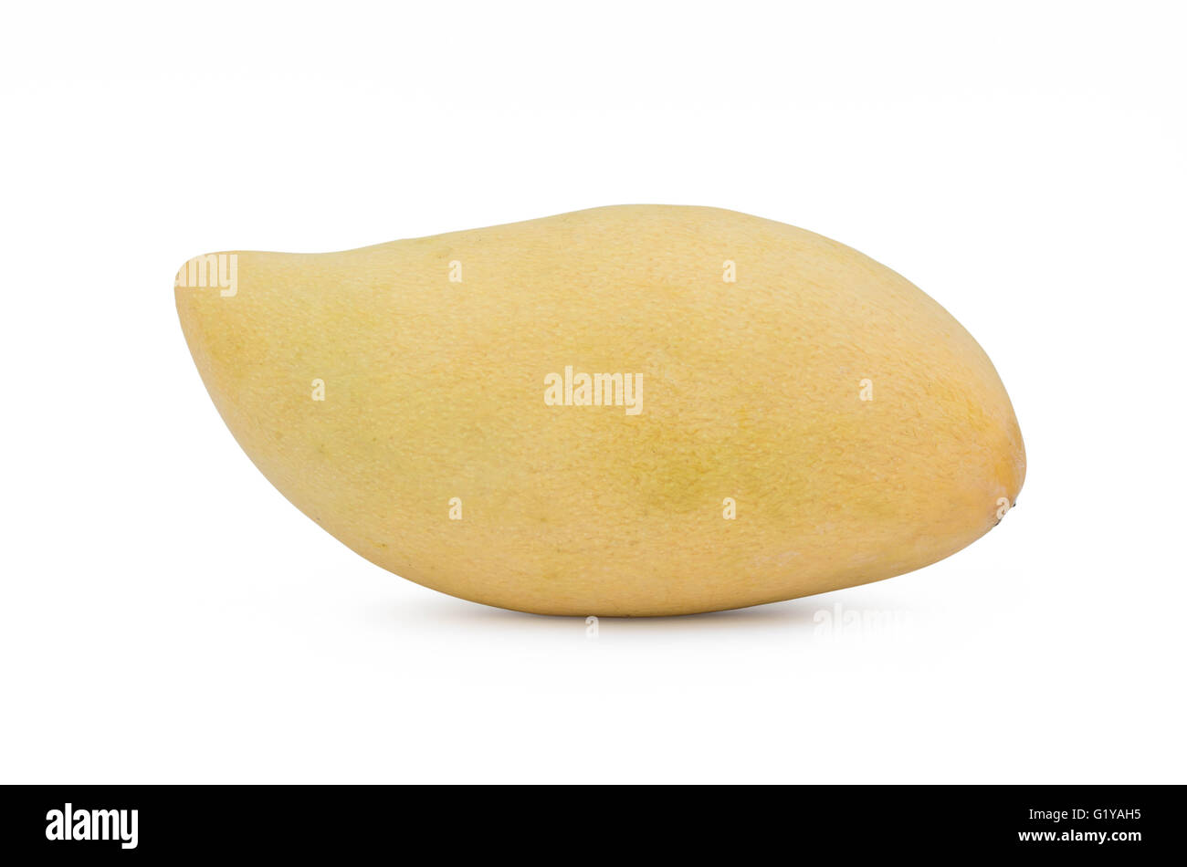 Mango is one of Thailand's most popular fruits, oval shaped with smooth ...