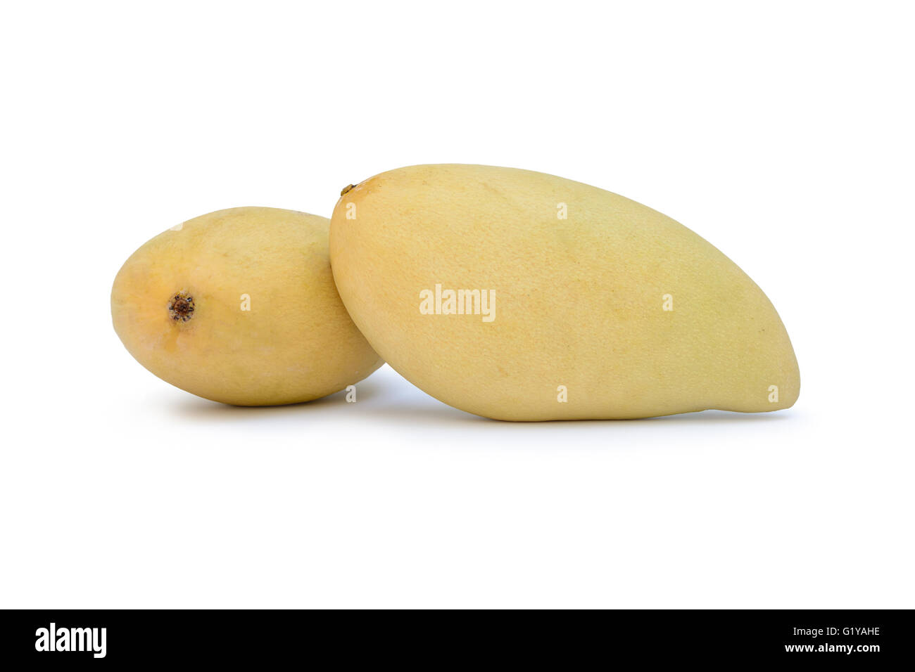Mango is one of Thailand's most popular fruits, oval shaped with smooth ...