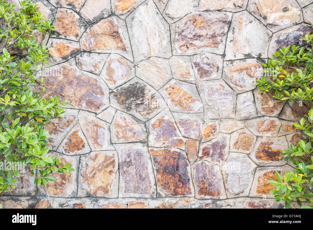 Gray background of modern style decorative real slate stone wall ...