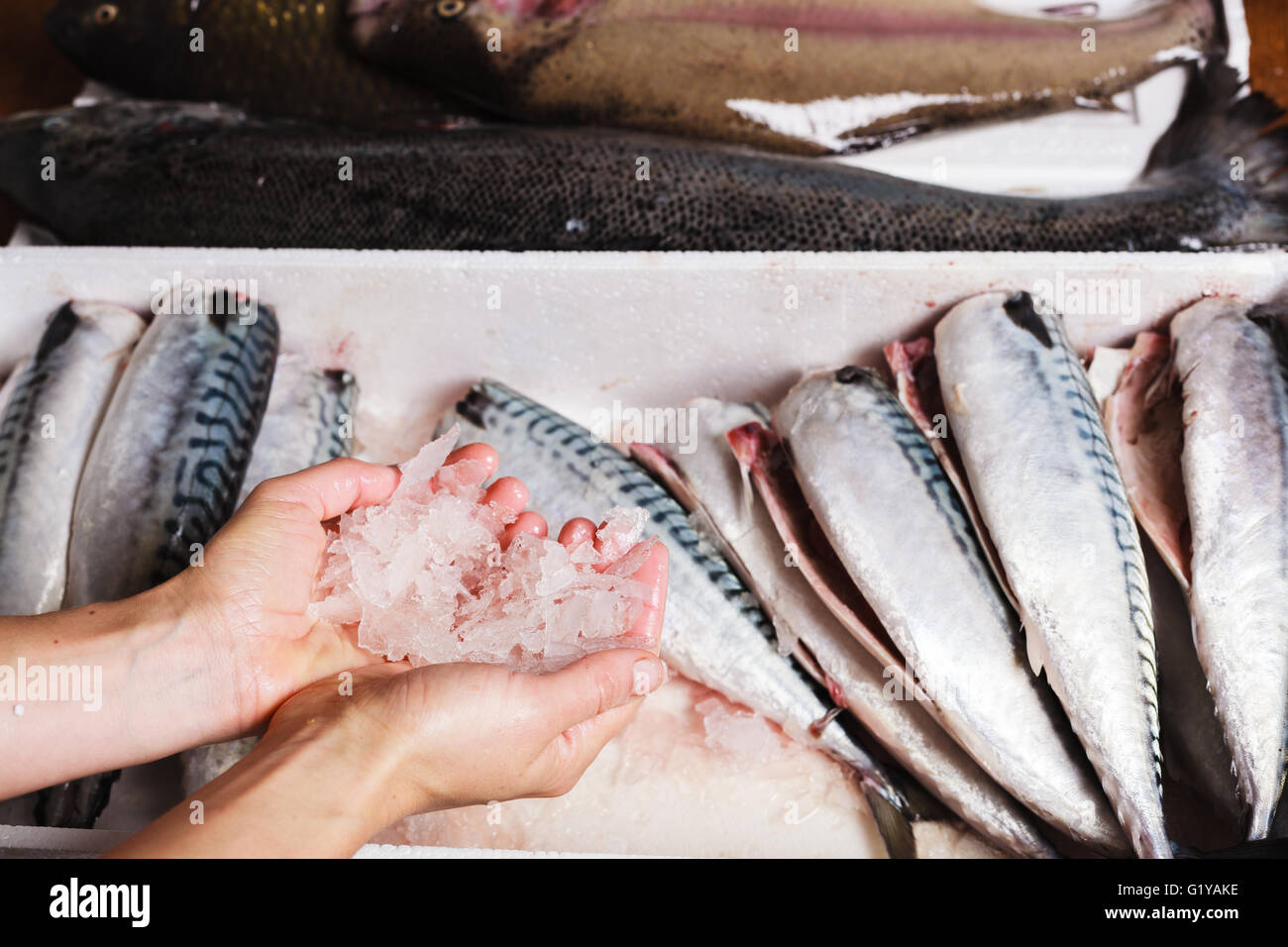 Cleaned Fish High Resolution Stock Photography and Images - Alamy