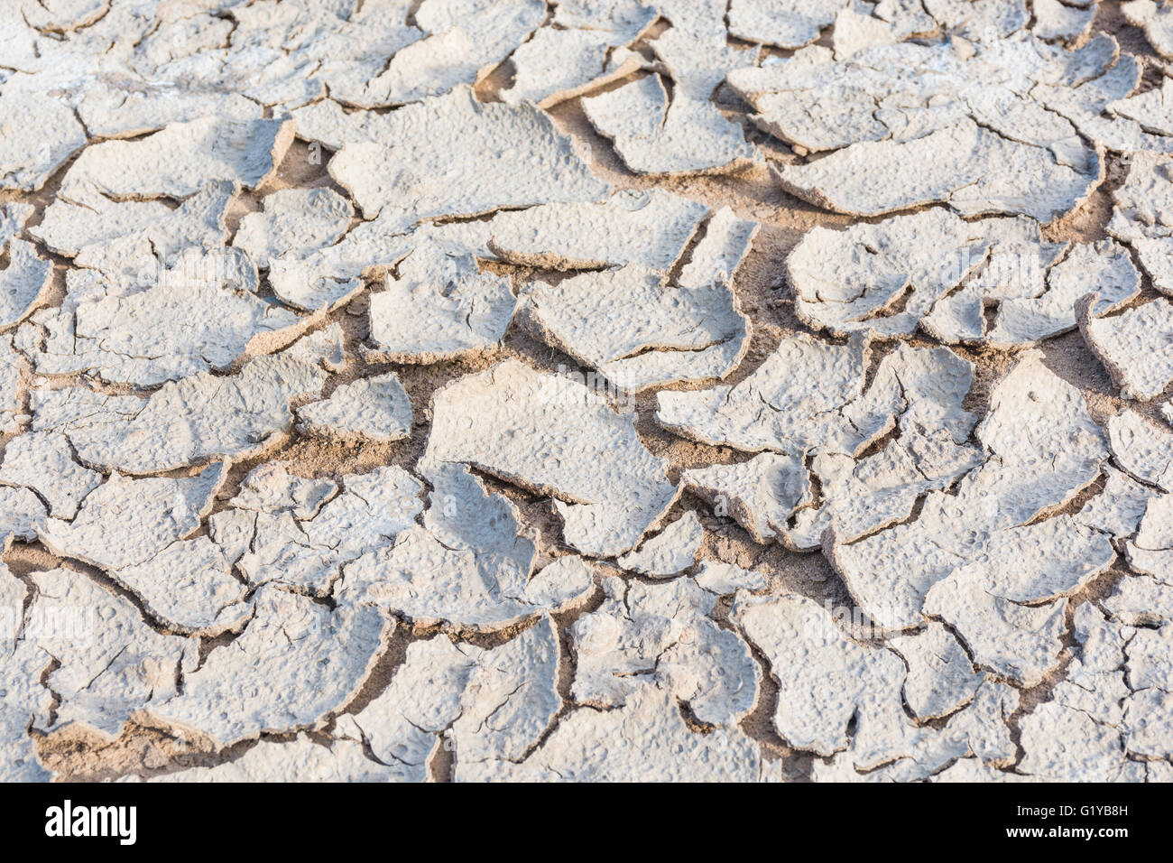 Texture of dried mud dried field hi-res stock photography and images ...