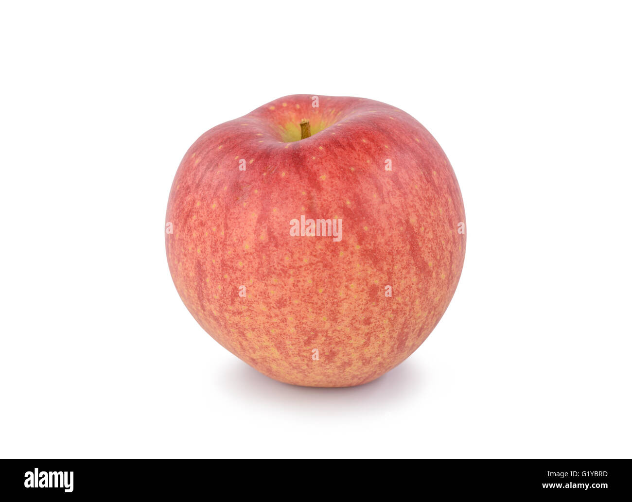 Japanese Giant Apple on white background. Select focus on center Stock ...