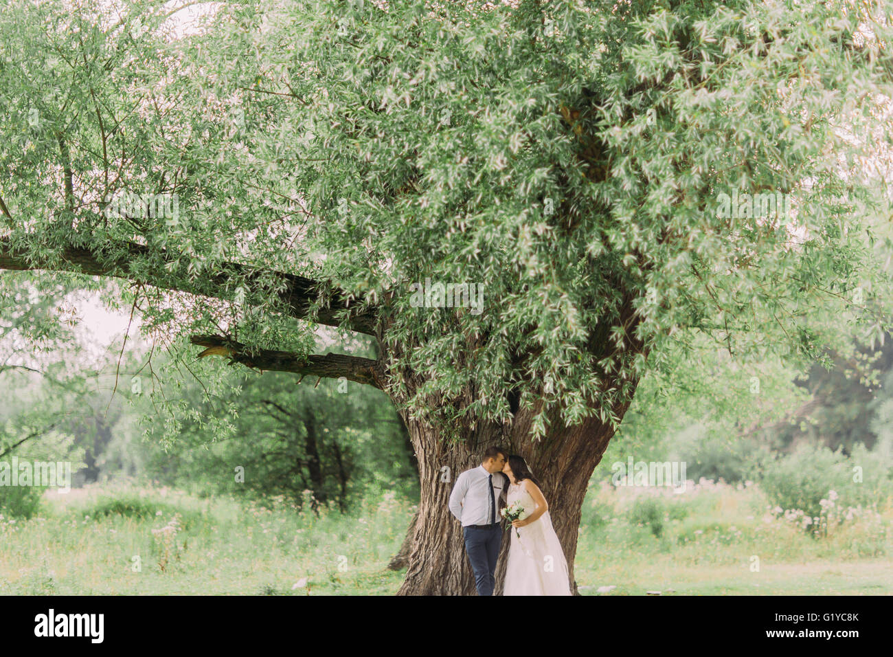 Happy young bride and groom kissing under a big tree with fresh green ...