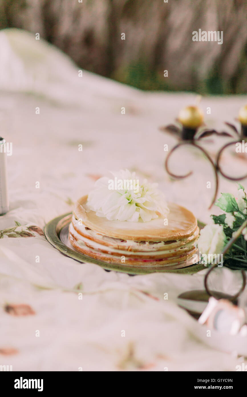 Picnic in the garden, delicious cake decorated with white flowers on ...