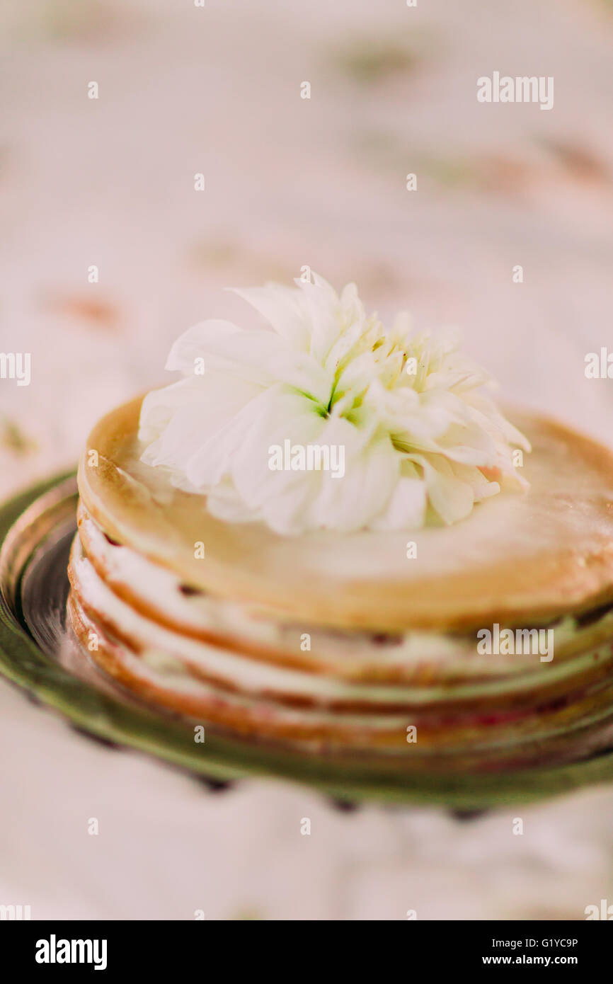 Picnic in the garden, delicious cake decorated with white flowers on ...