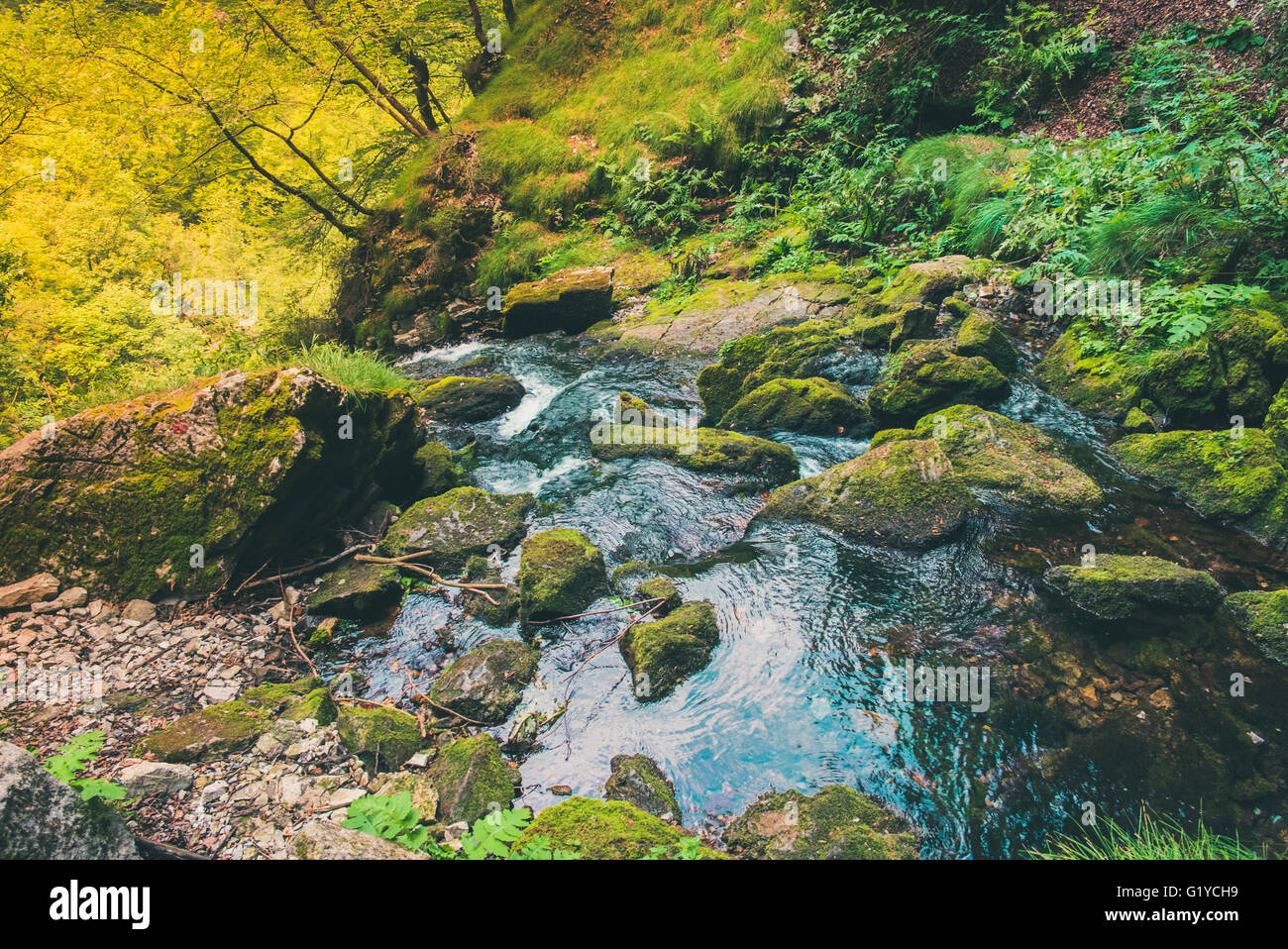 Blue mountain river hi-res stock photography and images - Alamy