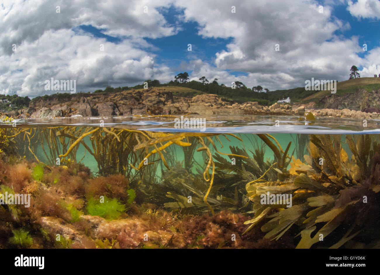 Split underwater shot hi-res stock photography and images - Alamy