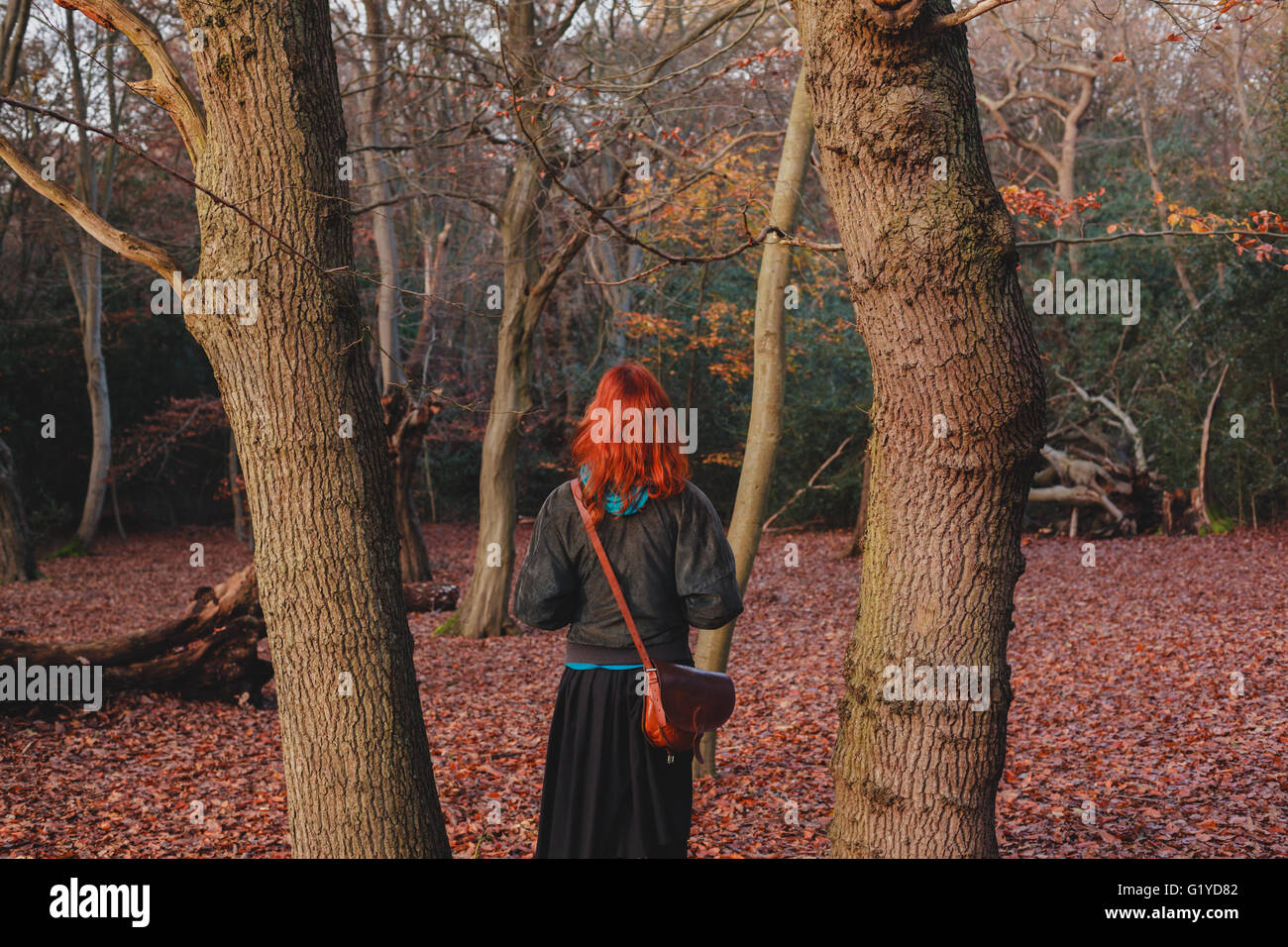 A young woman is standing between two trees in the forest Stock Photo ...