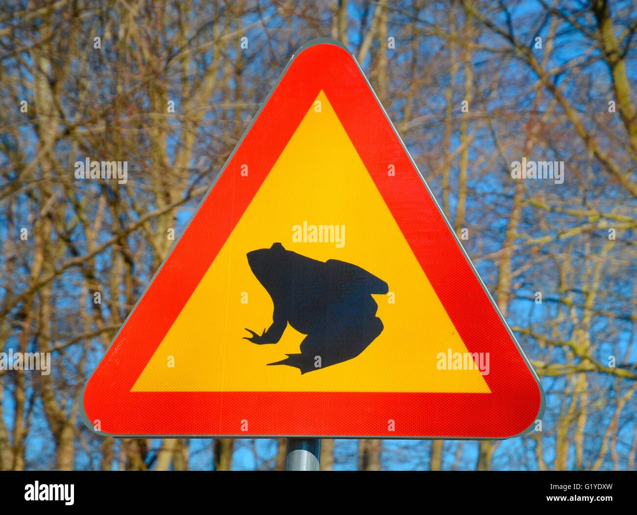 Sign for frog protection in Ystad sand forest, Scania, Sweden Stock ...