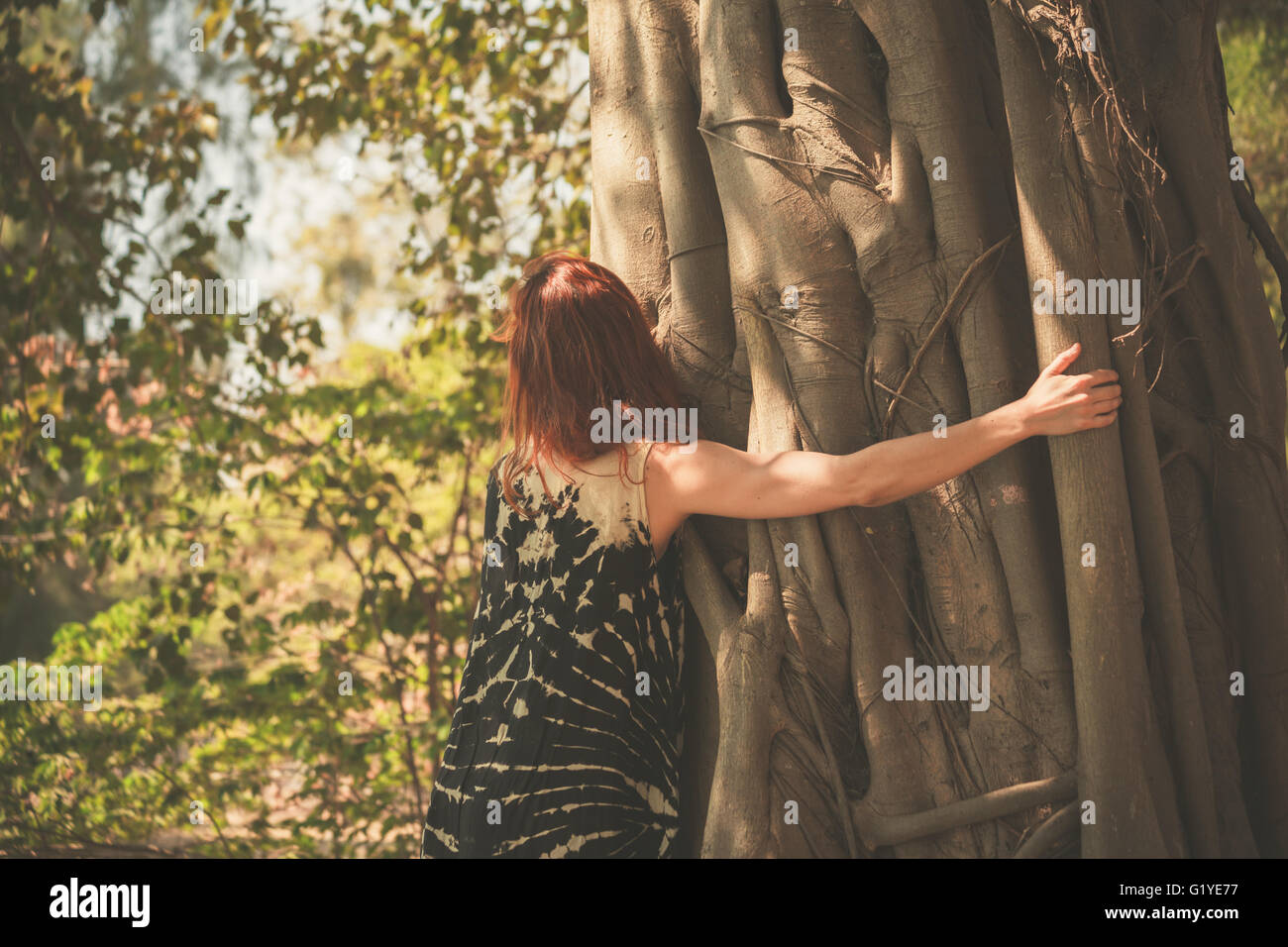 A young woman is embracing and hugging a giant tree Stock Photo - Alamy