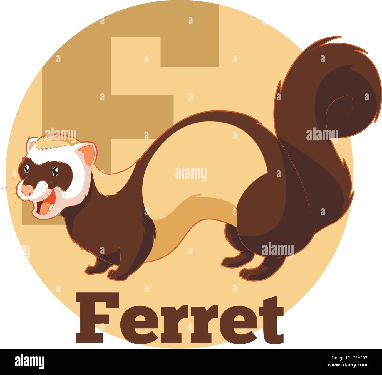ABC Cartoon Ferret Stock Vector Image & Art - Alamy