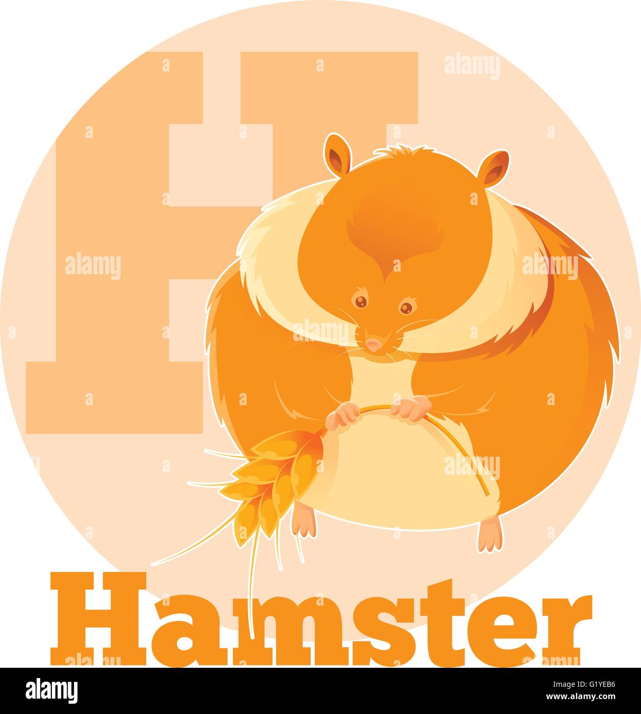 ABC Cartoon Hamster Stock Vector Image & Art - Alamy