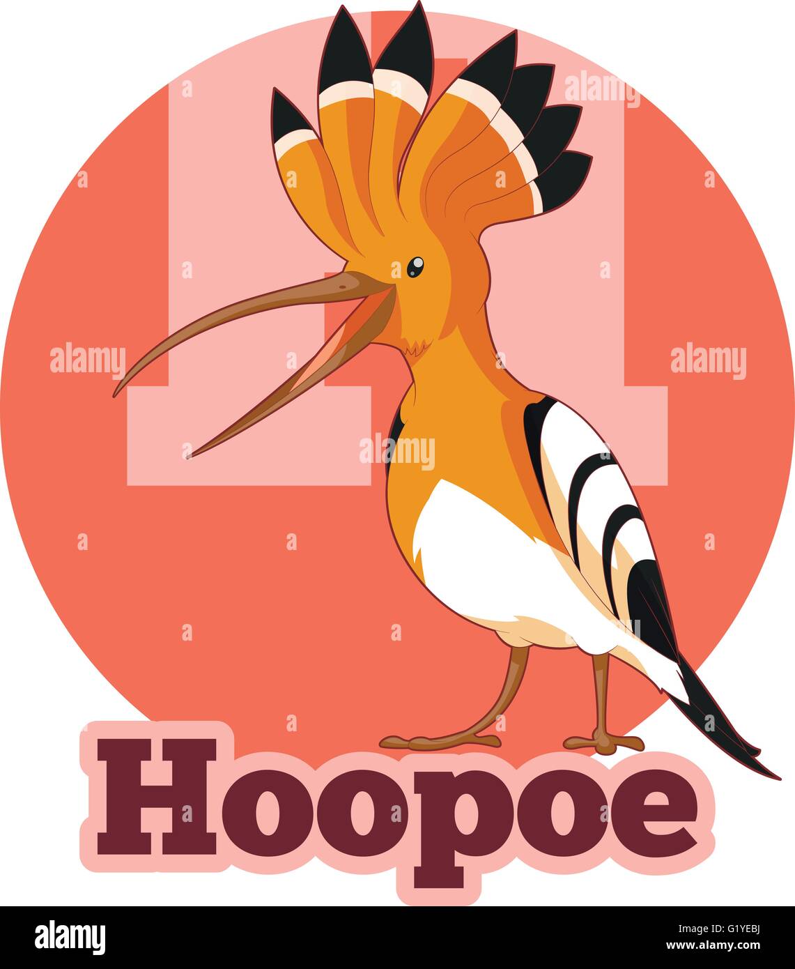 Hoopoe Cartoon