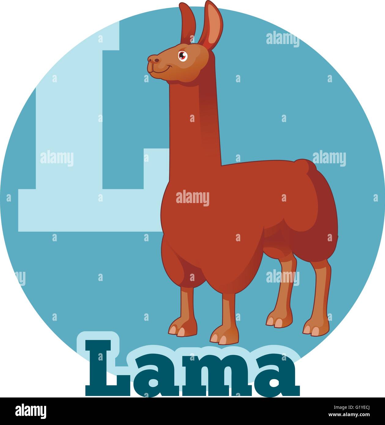 ABC Cartoon Lama Stock Vector Image & Art - Alamy