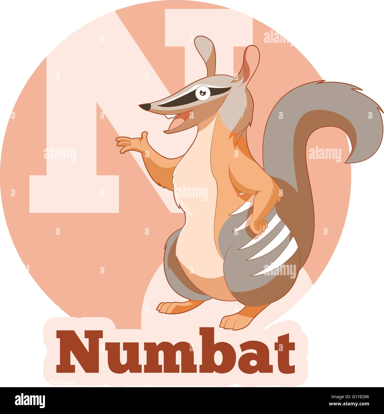 ABC Cartoon Numbat Stock Vector Image & Art - Alamy