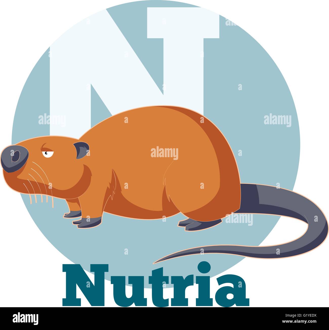 ABC Cartoon Nutria Stock Vector Image & Art - Alamy