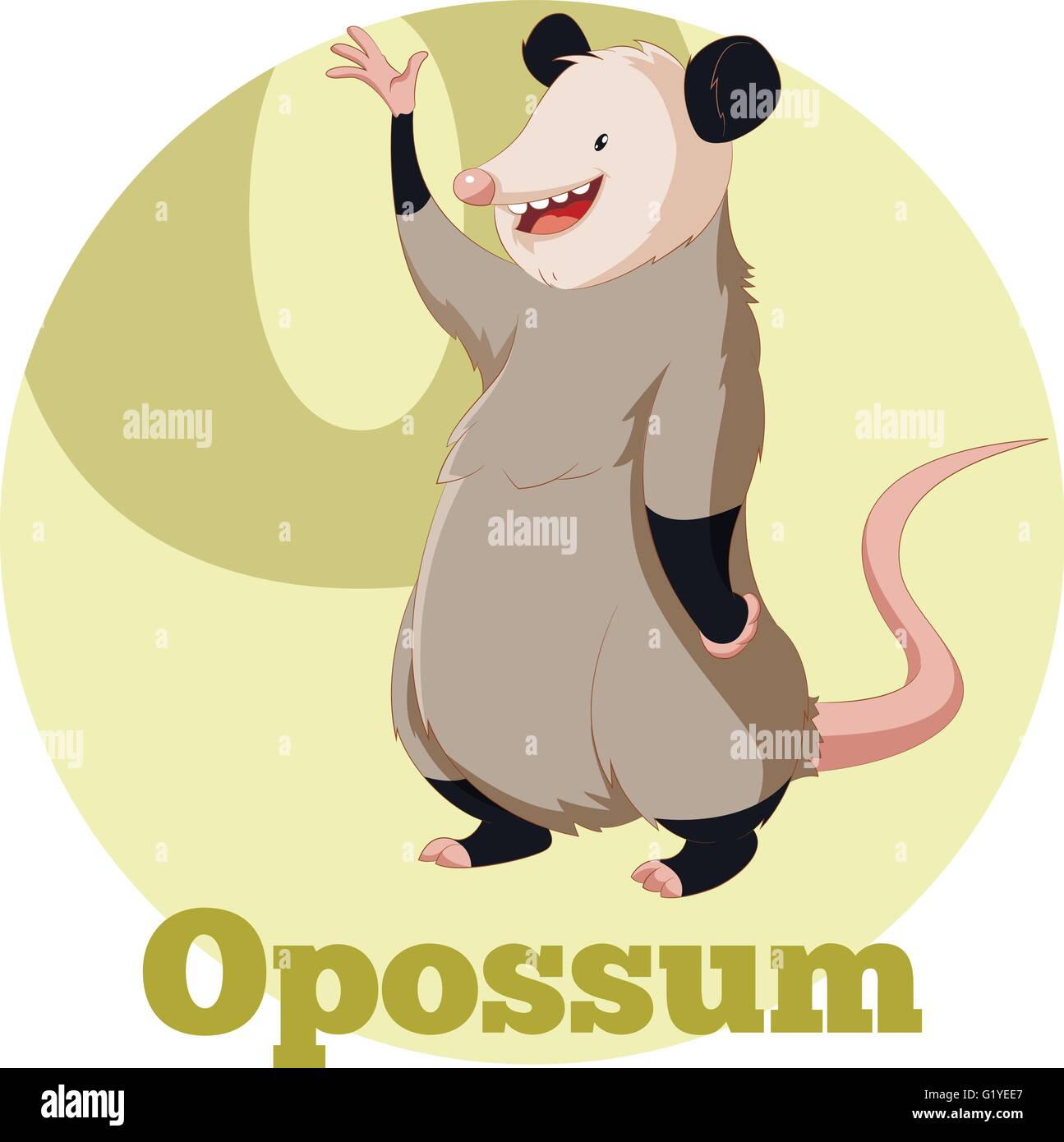 ABC Cartoon Opossum Stock Vector Image & Art - Alamy