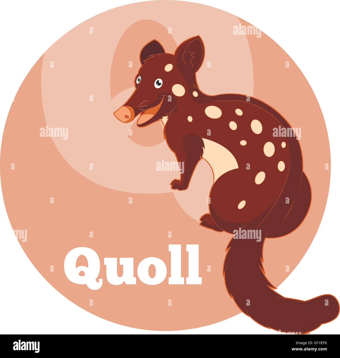 Animal alphabet q hi-res stock photography and images - Alamy