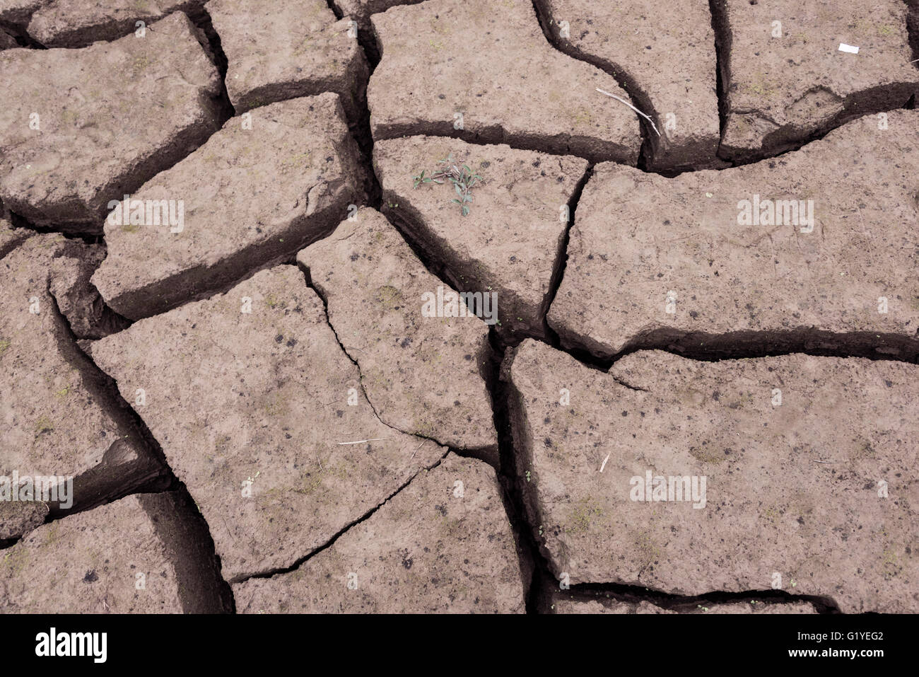 Dried Out Riverbed High Resolution Stock Photography and Images - Alamy