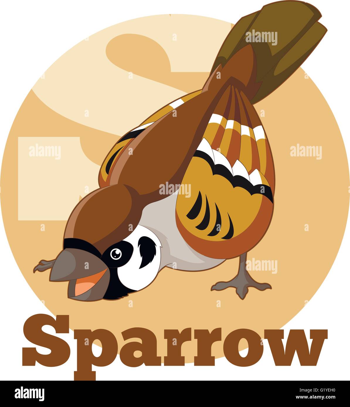ABC Cartoon Sparrow Stock Vector Image & Art - Alamy