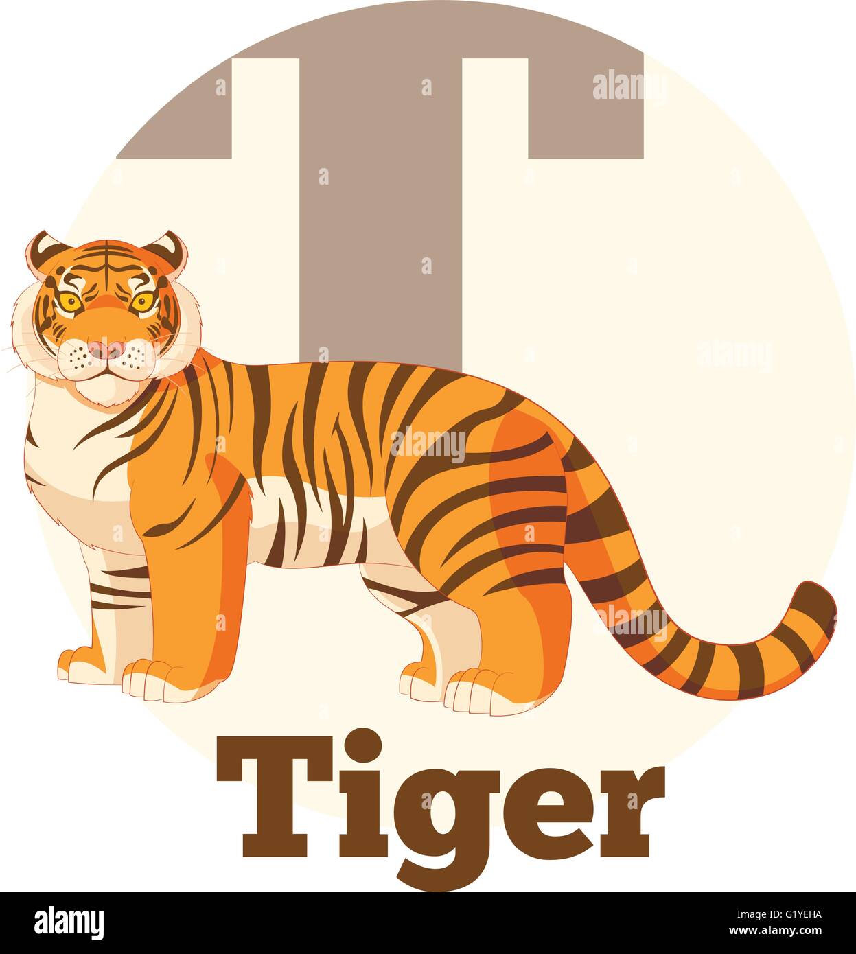 ABC Cartoon Tiger Stock Vector Image & Art - Alamy