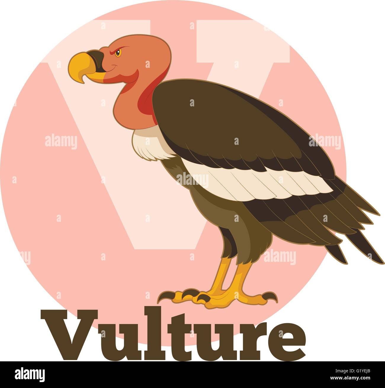 ABC Cartoon Vulture Stock Vector Image & Art - Alamy