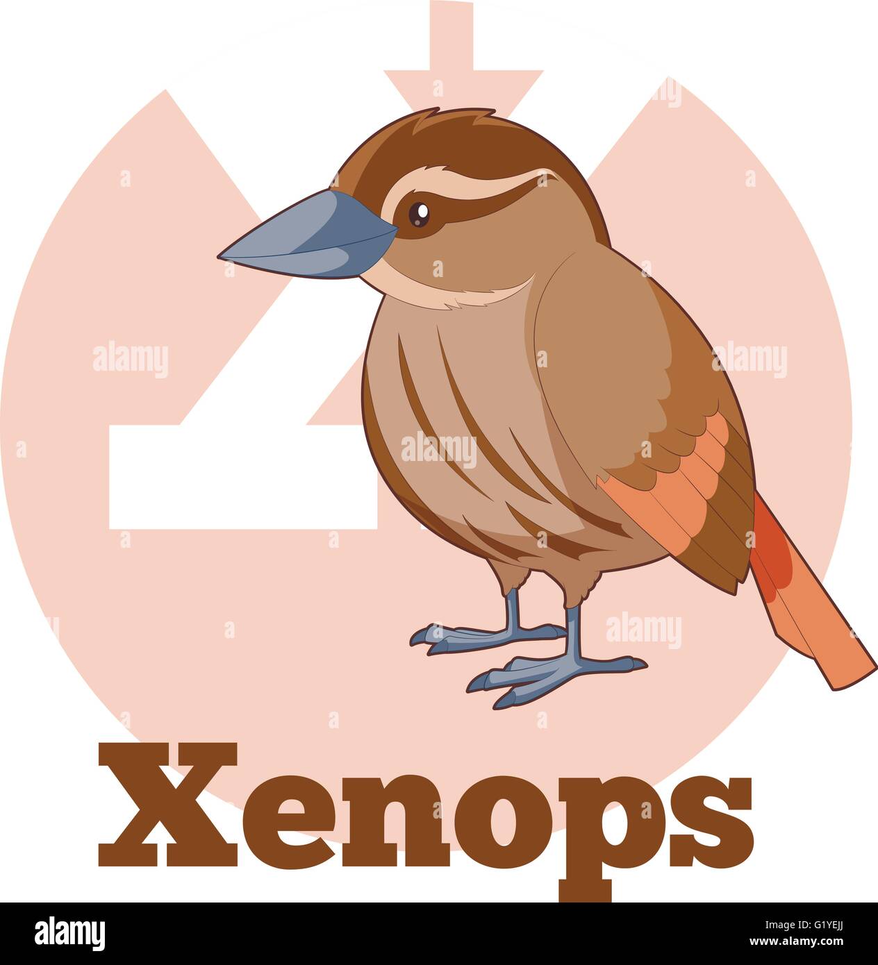 ABC Cartoon Xenops Stock Vector Image & Art - Alamy