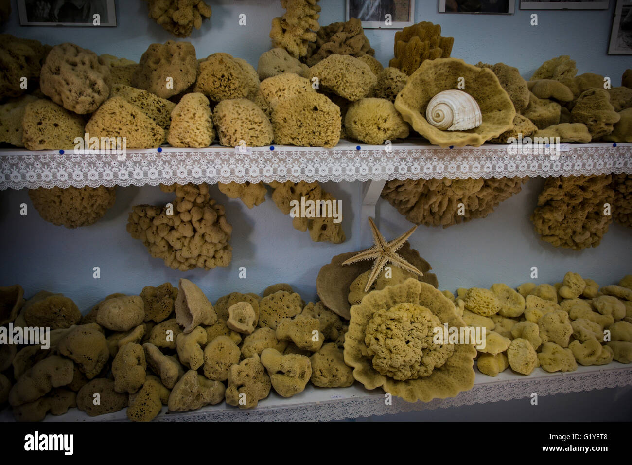 Starfish greece hi-res stock photography and images - Alamy