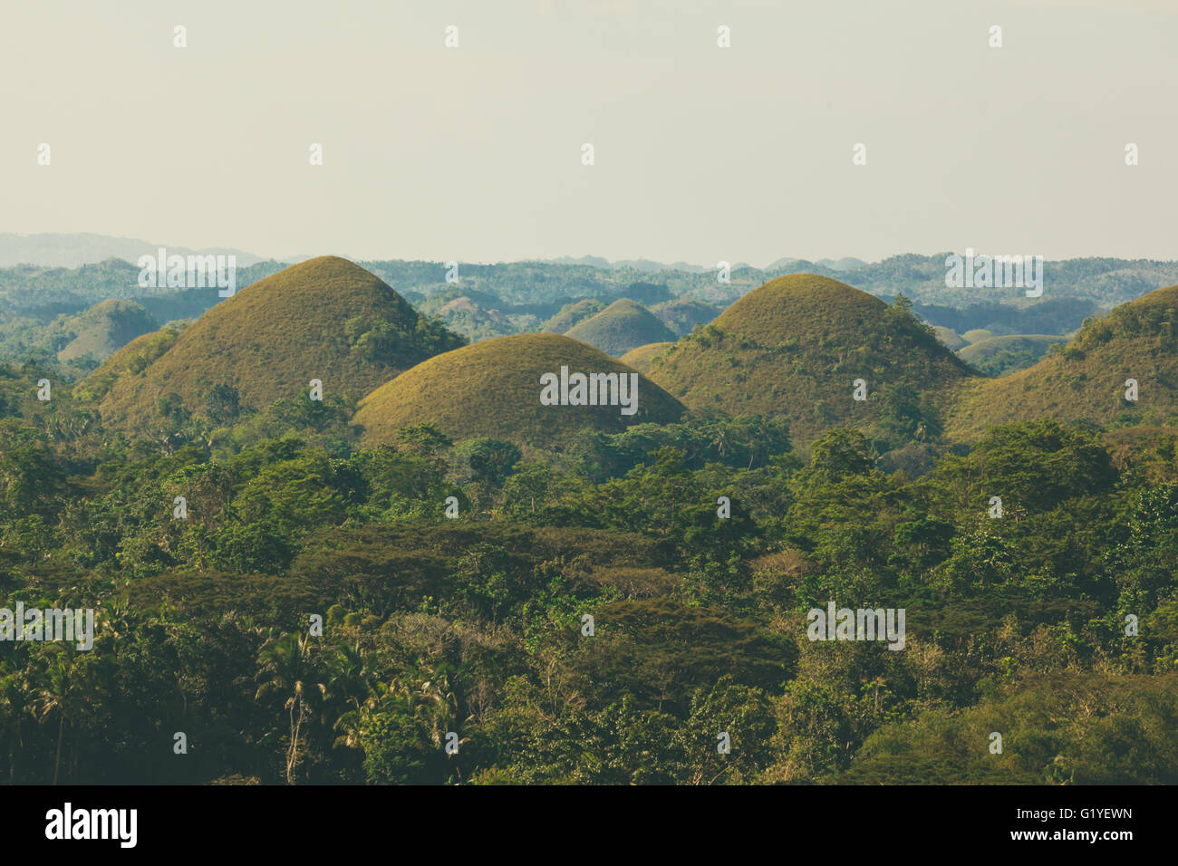 View of the famous and unusual Chocolate Hills in Bohol, Philippines ...