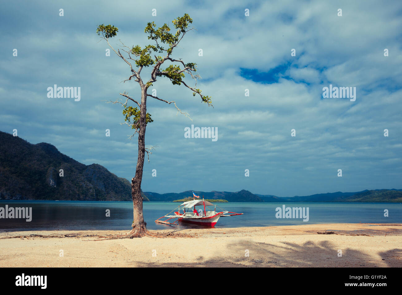 A small boat next to a tree on a tropical beach in the Philippines ...