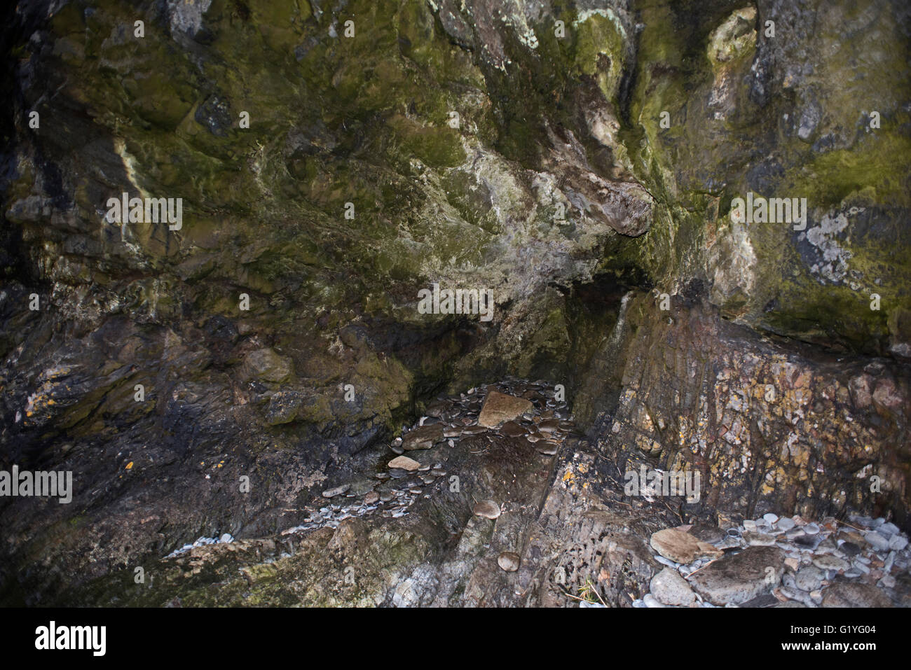 Cave Cove at Cape Rosa in King Haakon Bay where Shackleton made ...