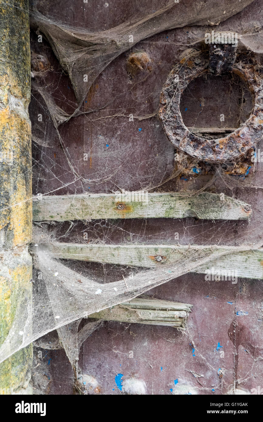Cobwebs hi-res stock photography and images - Alamy