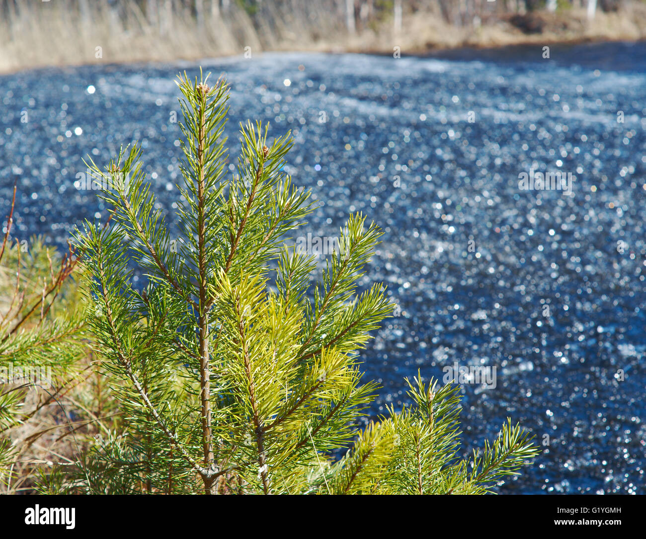Russian Spring landscape with flooded.icy slush on the water of the ...