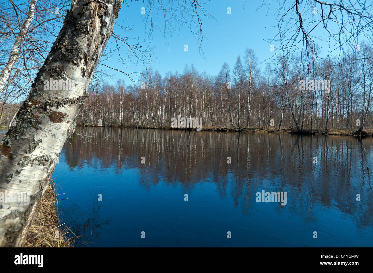 Russian landscape.Spring flooding on the river Arkhangelsk region Stock ...