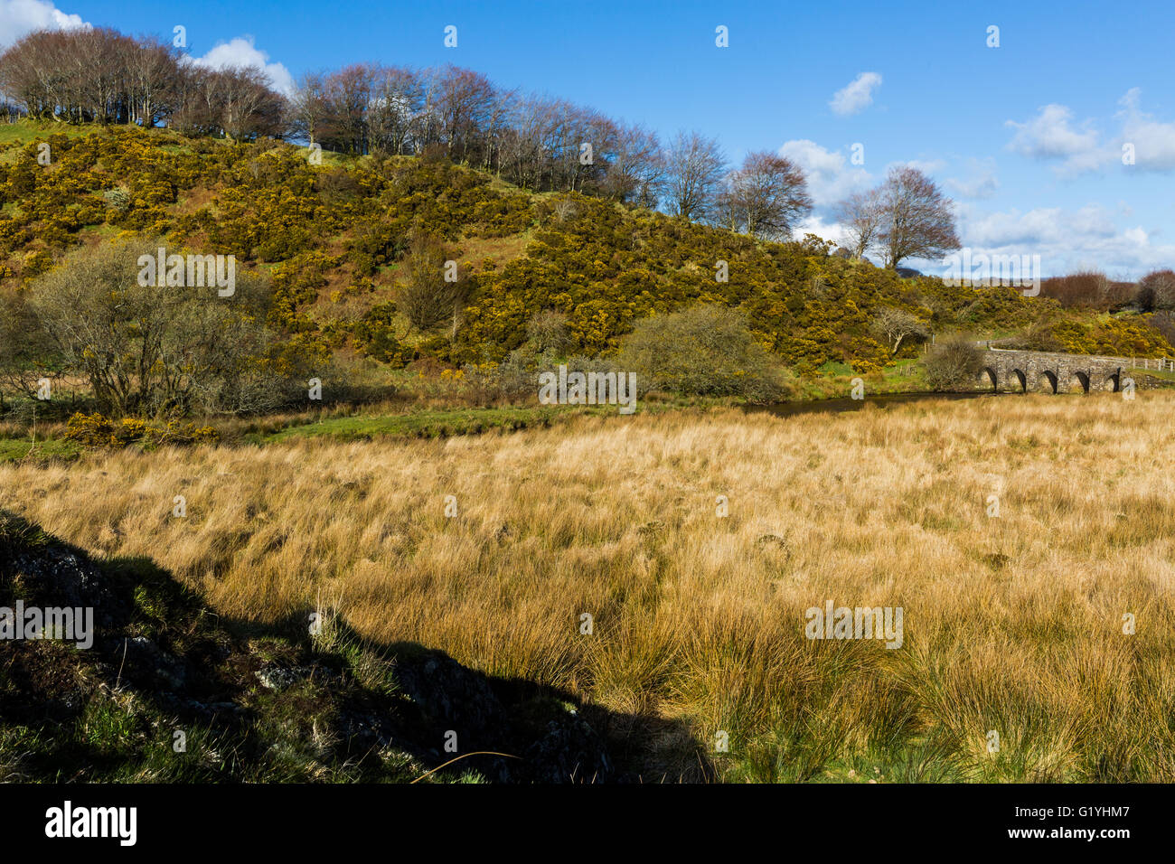 Landacre bridge hi-res stock photography and images - Alamy