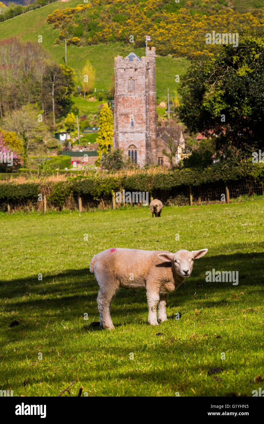 Luccombe hi-res stock photography and images - Alamy